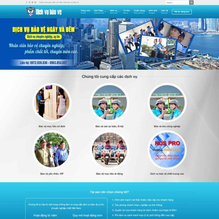 Themevip | Source Code Mẫu Website Chất Mà Rẻ 2025